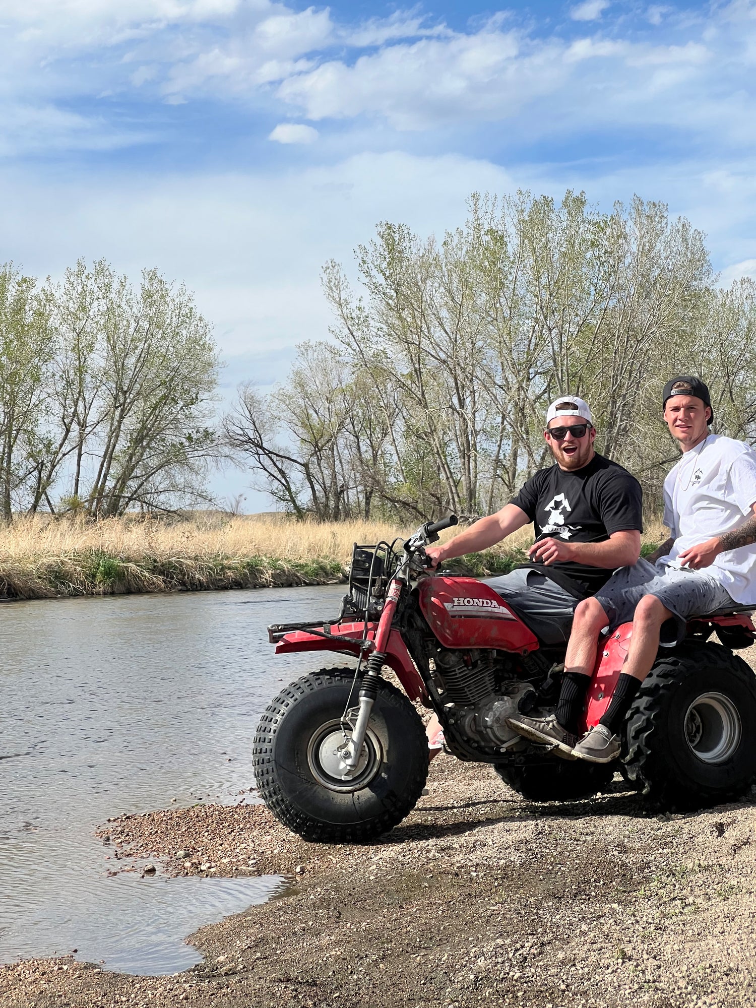 Collections – shred.eighty